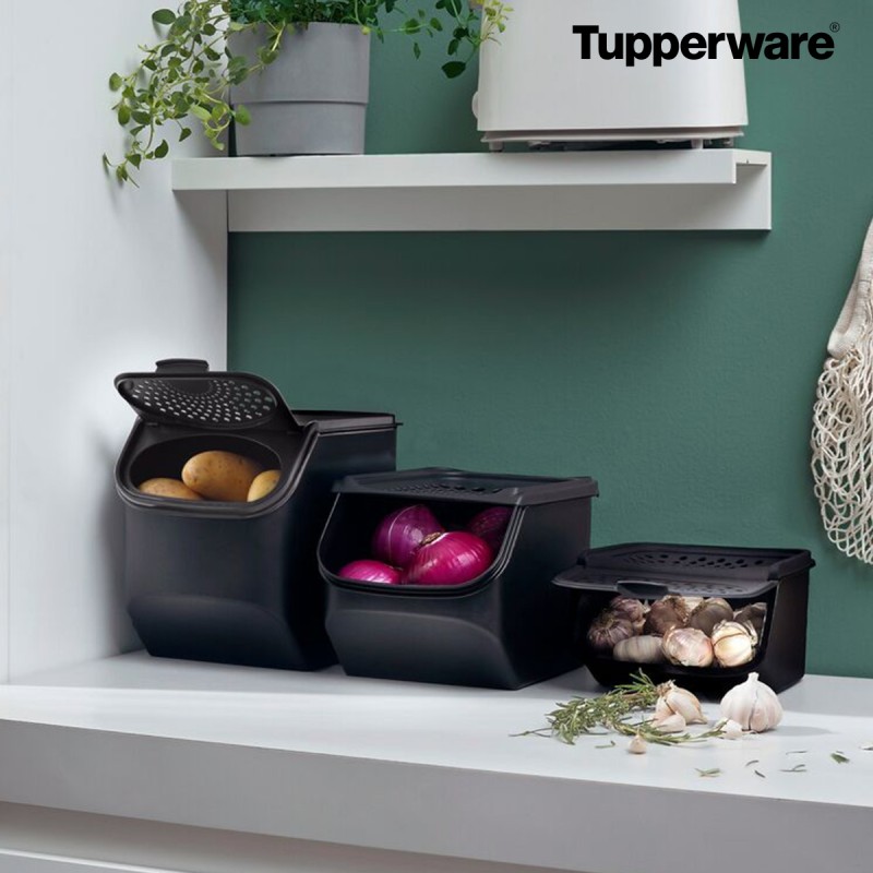 Boîte à ail TUPPERWARE® conservation optimale compact gain de place ...